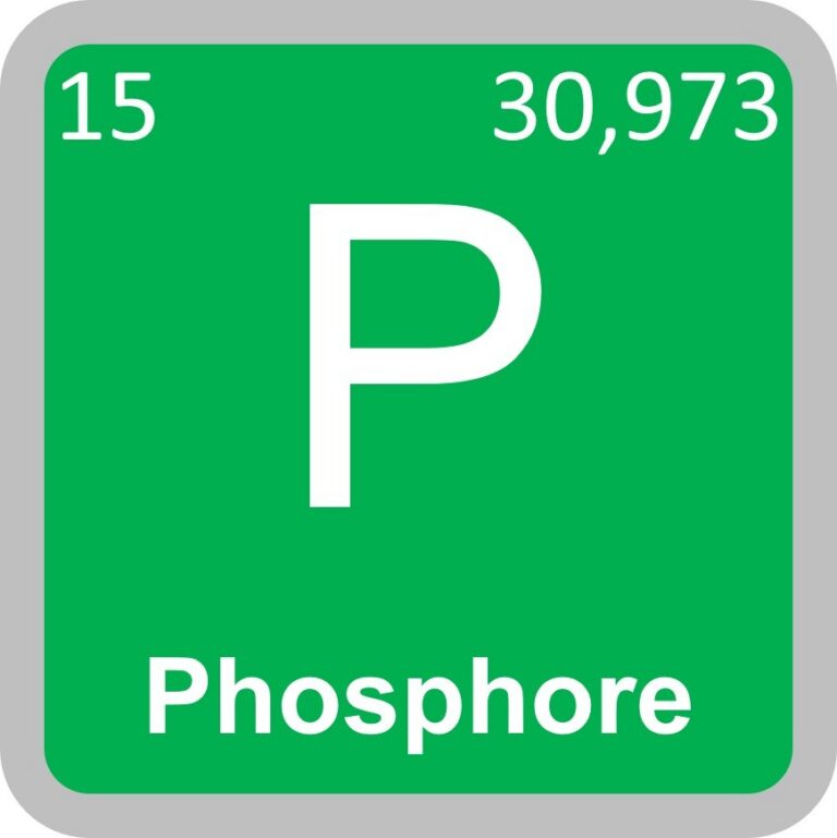Phosphore, phosphates - Reeflexions